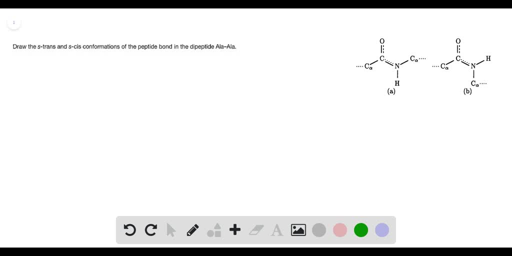 SOLVED:Draw the s-trans and s-cis conformations of the peptide bond in ...