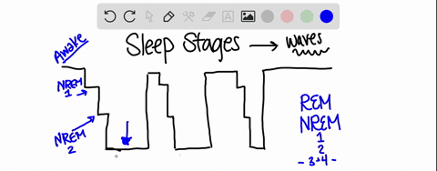 SOLVED:_________ is (are) described as slow-wave