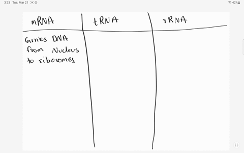 ⏩SOLVED:Name the three types of RNA that are essential to protein ...
