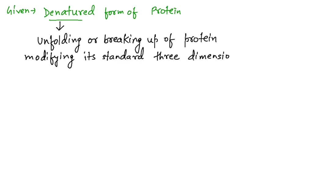SOLVED:What happens when a protein is denatured?