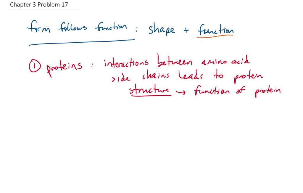 SOLVED In The Context Of Cell Biology What Do We Mean By Form Follows