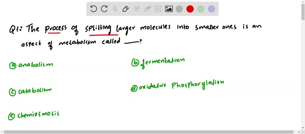 SOLVED:The process of splitting larger molecules into smaller ones is ...