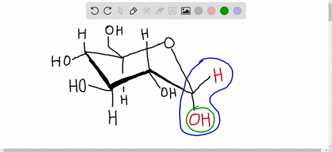 SOLVED:Describe the similarities and differences in the structures of ...