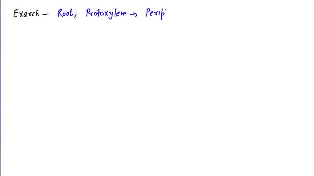 SOLVED:In root, the xylem is (a) Mesarch (b) Exarch (c) Placed at ...