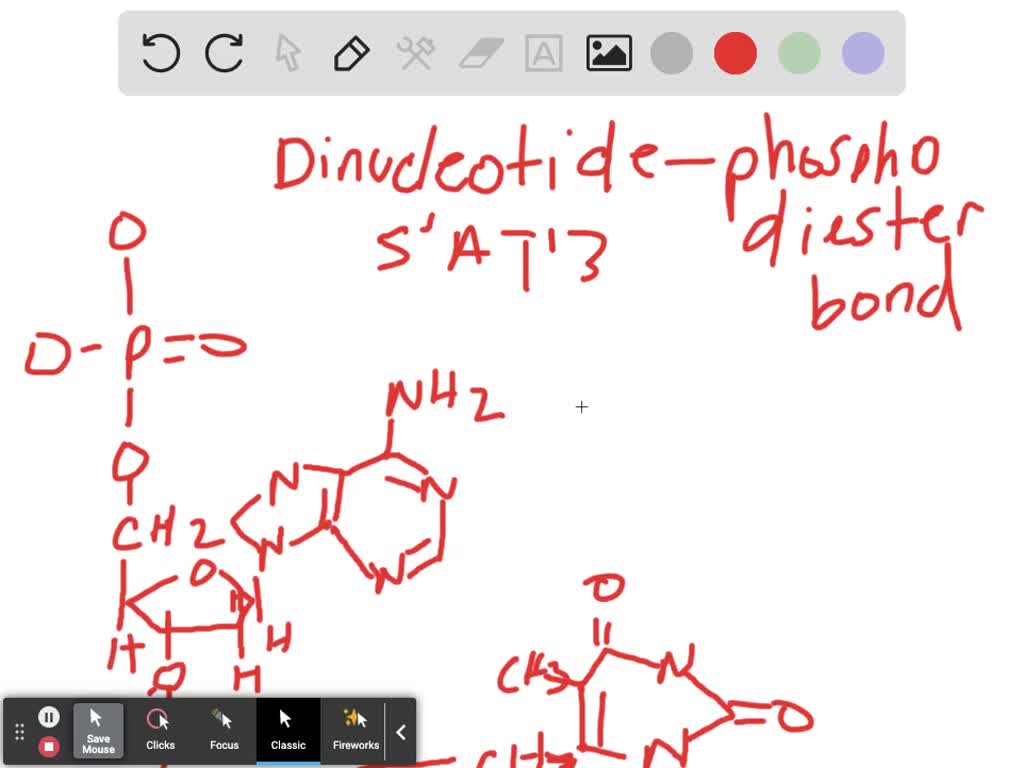 SOLVED:Draw the condensed structural formula for the dinucleotide 5^' A ...