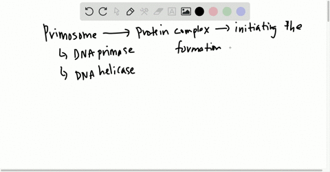 SOLVED:What is a primosome, and what are its functions? What essential ...
