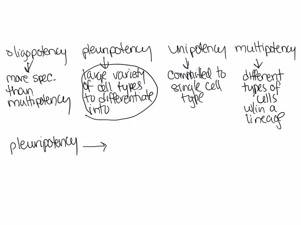 SOLVED: Arrange the following terms in order of increasing ...