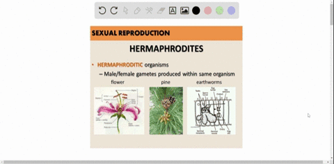 SOLVED:Which form of reproduction can result from damage to the original animal? a. asexual b ...
