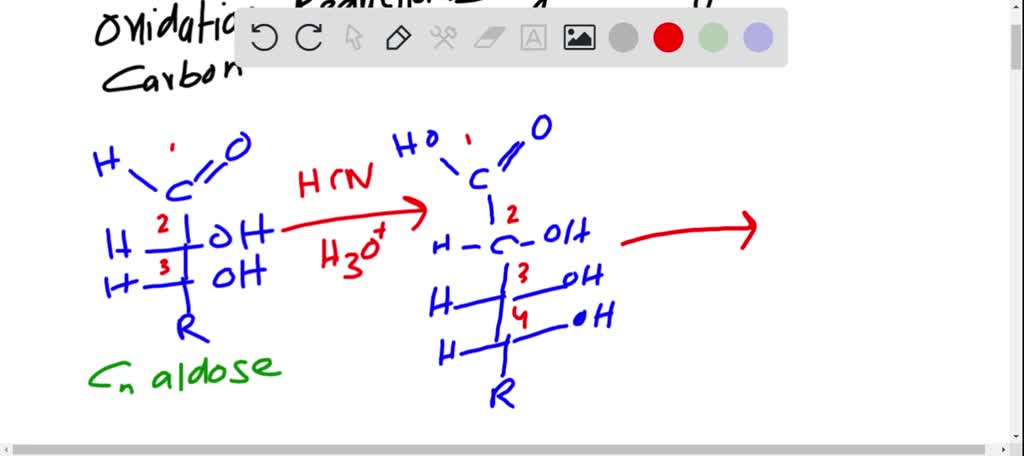 SOLVED:a. Oxidation of the aldehyde group of glucose yields gluconate ...