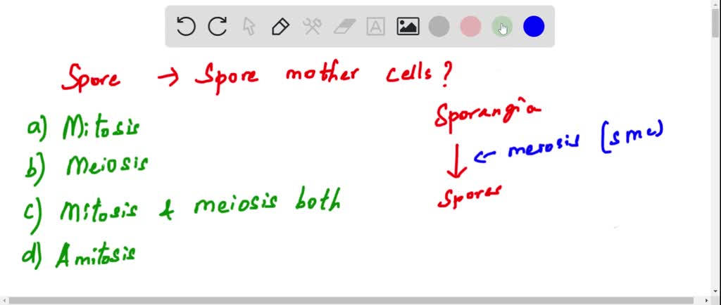 SOLVED:The production of spores by the spore mother cells is the result ...