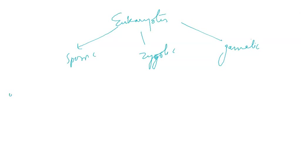 SOLVED:In Levinson's theory, what is the life structure and what are ...