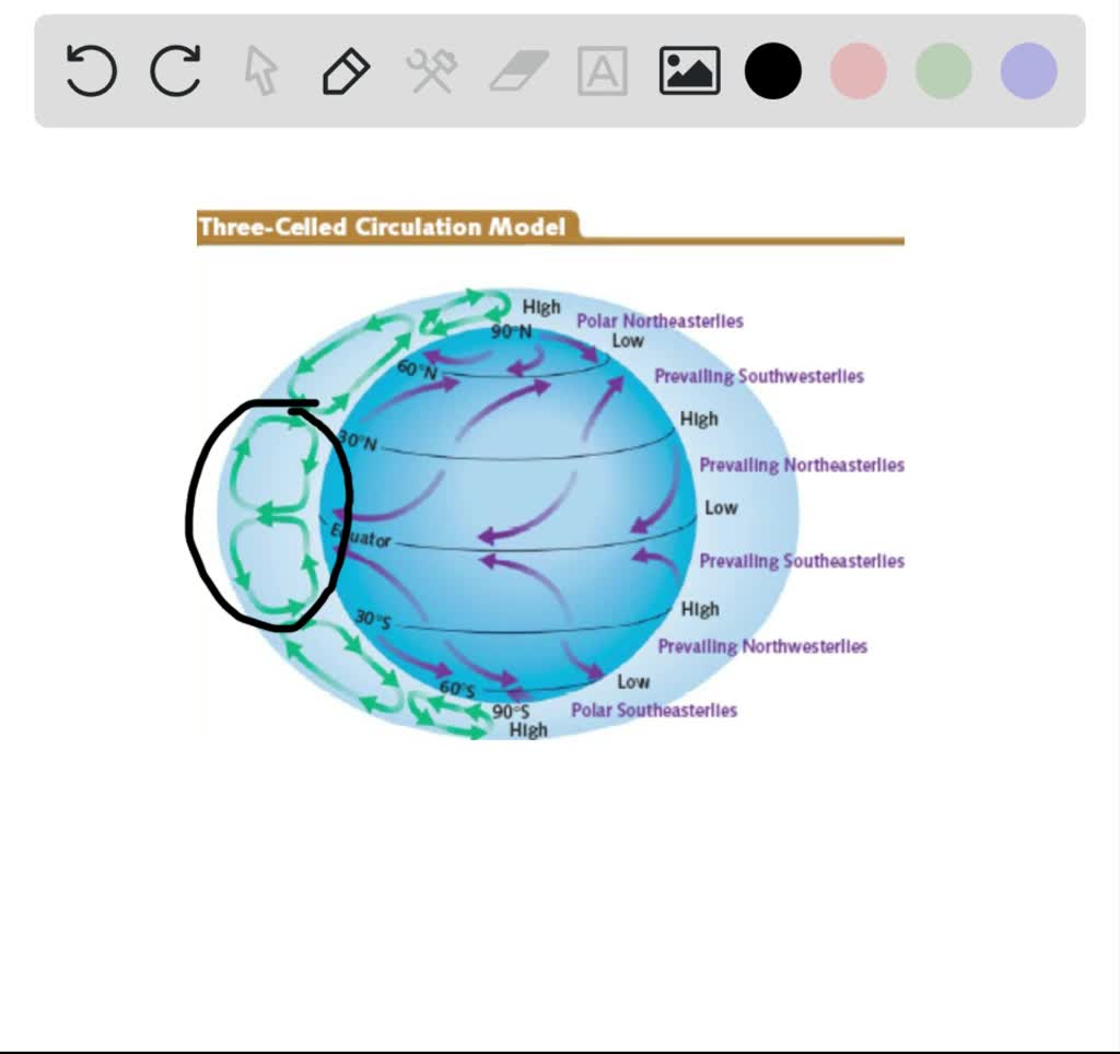 Explain the three-cell model for global wind circulation. | Numerade