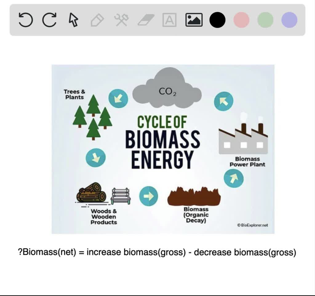 SOLVED:The quantitative estimate of the total amount of living material ...