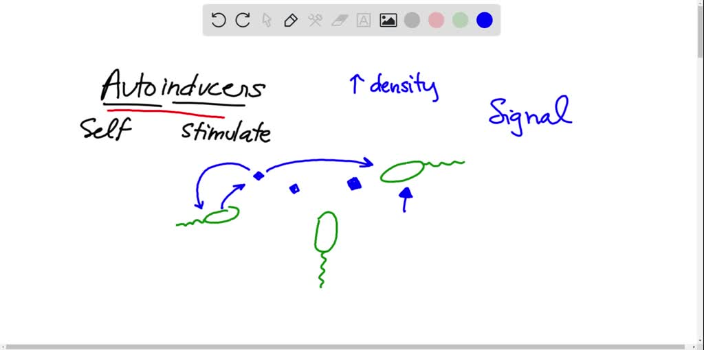 SOLVED:Why are tRNAs described as adaptor molecules?