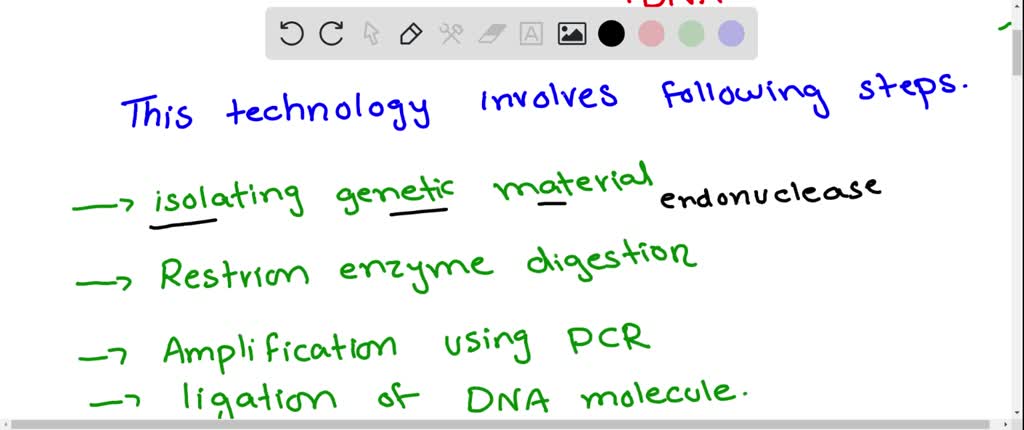 SOLVED:Name the four major steps used in DNA identification.