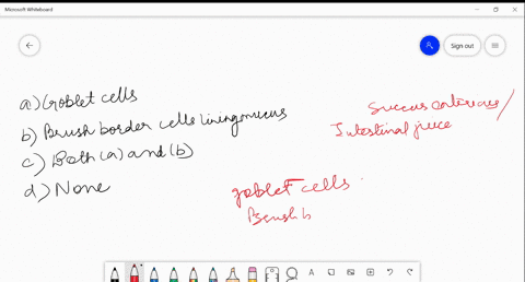 ⏩SOLVED:Intestinal juice or succus entericus is formed by the… | Numerade