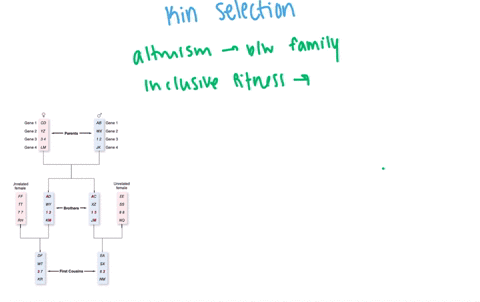 SOLVED: According to kin selection, saving the life of your would do ...