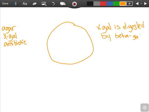 SOLVED:Briefly explain how an antibiotic-resistance gene and the lacZ ...