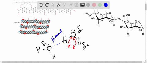 Draw The Structure Of Nylon In Block Diagram Format Moderato