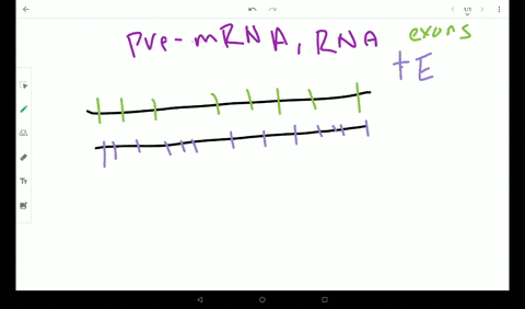 SOLVED:For Figure 15-22, draw the pre-mRNA that is transcribed from ...
