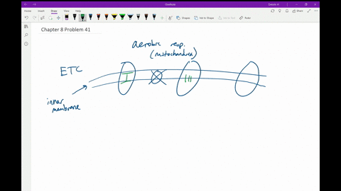 SOLVED:The final ETS complex used in aerobic respiration that transfers ...