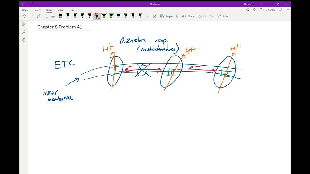 SOLVED:The final ETS complex used in aerobic respiration that transfers ...