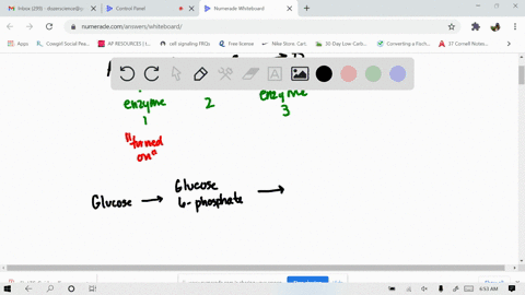 ⏩SOLVED:Step 3 in Figure 9.8 is a major point of regulation of… | Numerade