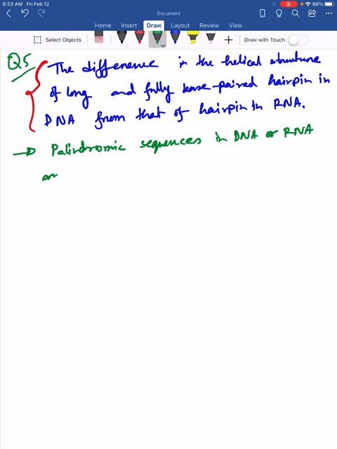 SOLVED:Distinction between DNA Structure and RNA Structure Hairpins may ... SOLVED:Distinction between DNA Structure and RNA Structure Hairpins may ...
