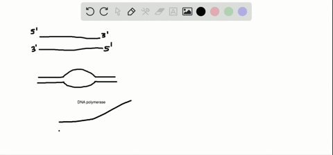 SOLVED:Which of the following correctly ranks the structures in order of size, from largest to ...