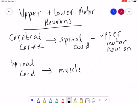 SOLVED: If a person has a motor disorder and cannot move their arm ...