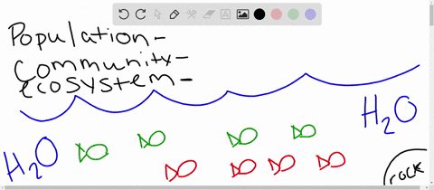 population ecology | Practice Problems, Examples & Solutions | Numerade
