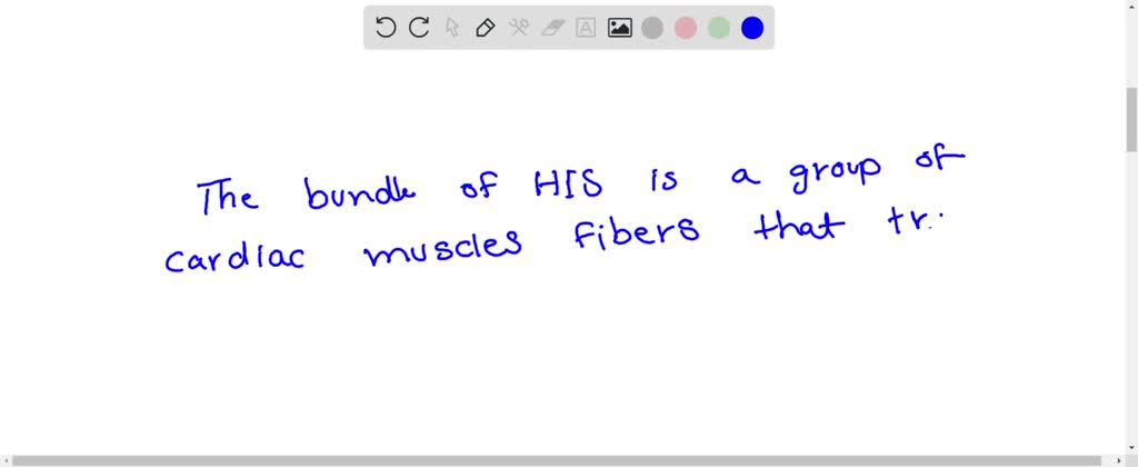 Bundle of HIS is a group of (a) Ganglia (b) Nerve fibres (c) Muscular ...