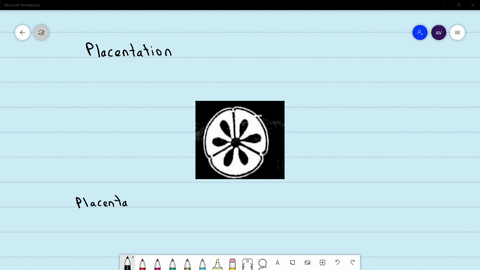 SOLVED:Identify the different types of aestivation (A, B, C and D) and ...