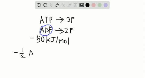 Regulation energetics. The phosphorylation and dephos- phorylation of ...