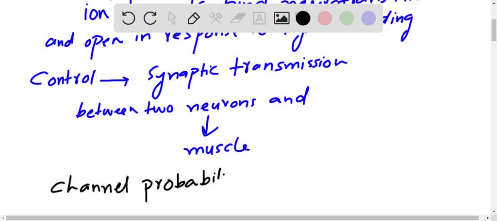 SOLVED:The "ball-and-chain" model for the rapid inactivation of voltage ...