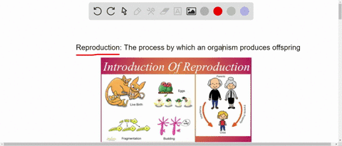 SOLVED:A process by which an organism produces offspring is called . a ...