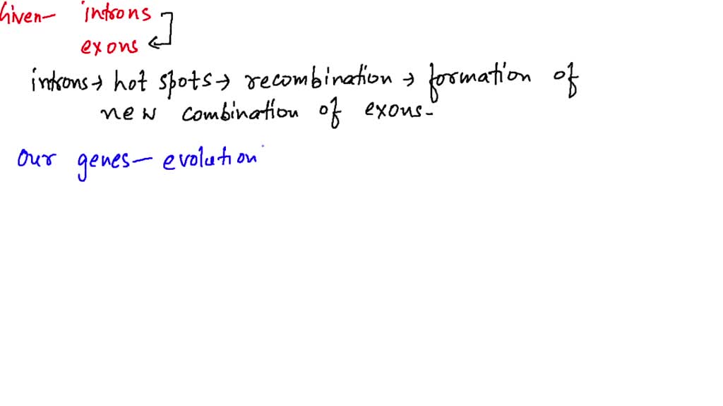 SOLVED:From 5^' to 3^', what are the components of the operon, and what ...