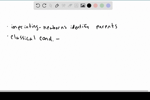 SOLVED:The ability of rats to learn how to run a maze is an example of . a. imprinting b ...