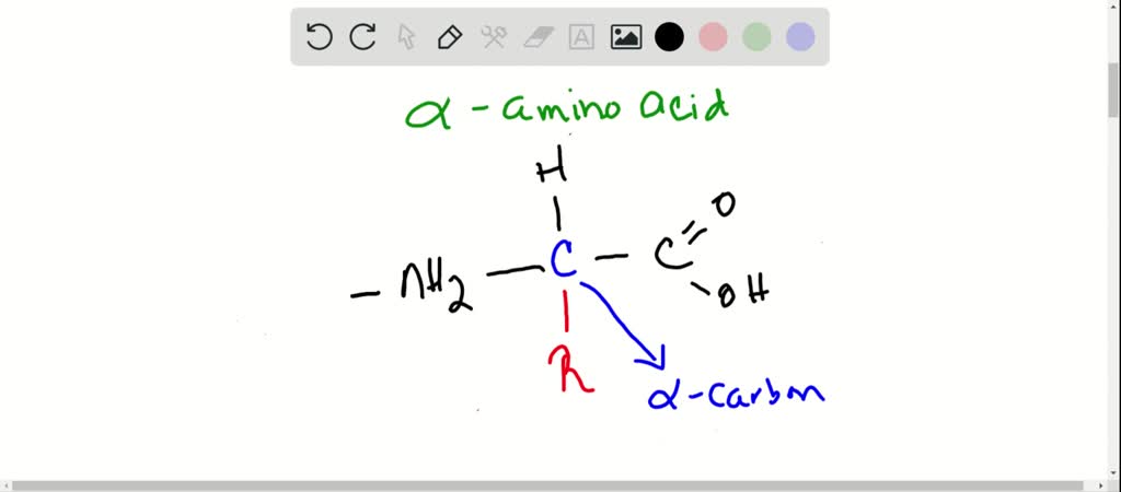 SOLVED:Sketch the general formula for an α-amino acid, indicating the α ...
