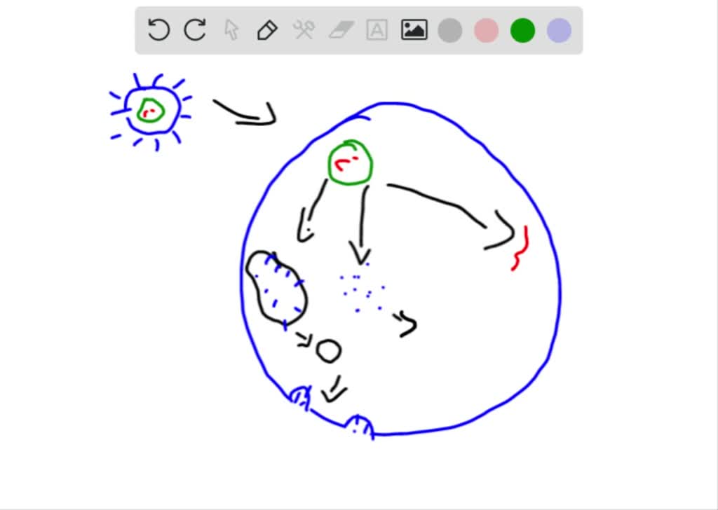 SOLVED:Redraw Figure 19.8 to show the replicative cycle of a virus with ...