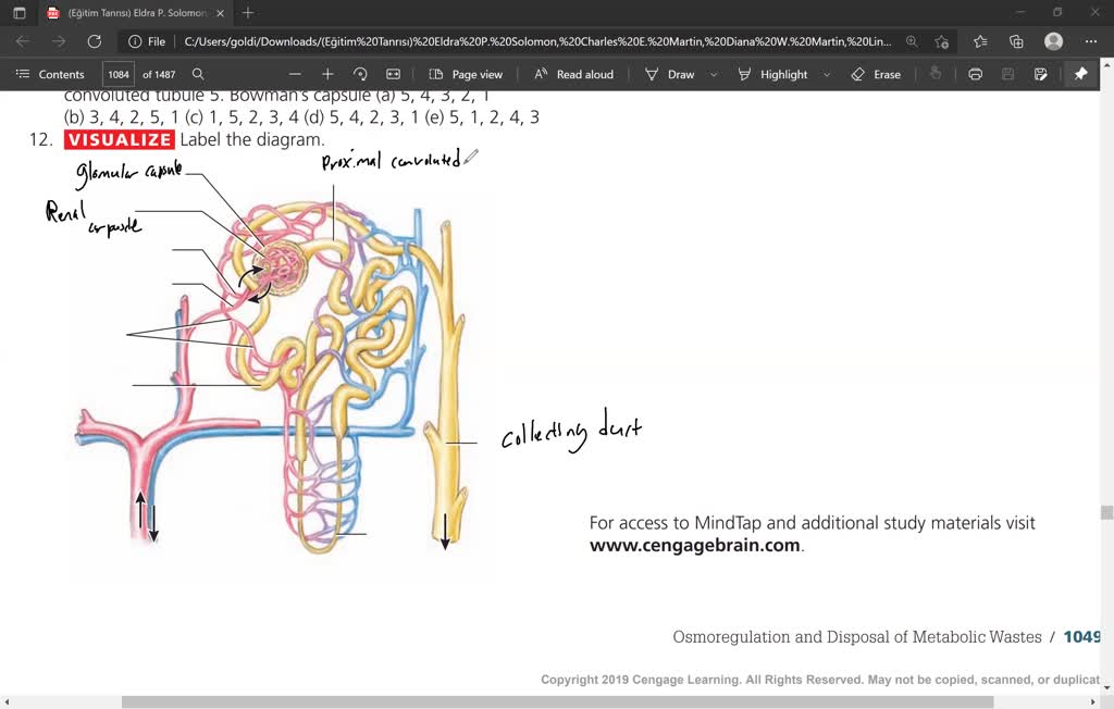 ⏩SOLVED:Label the diagram. | Numerade