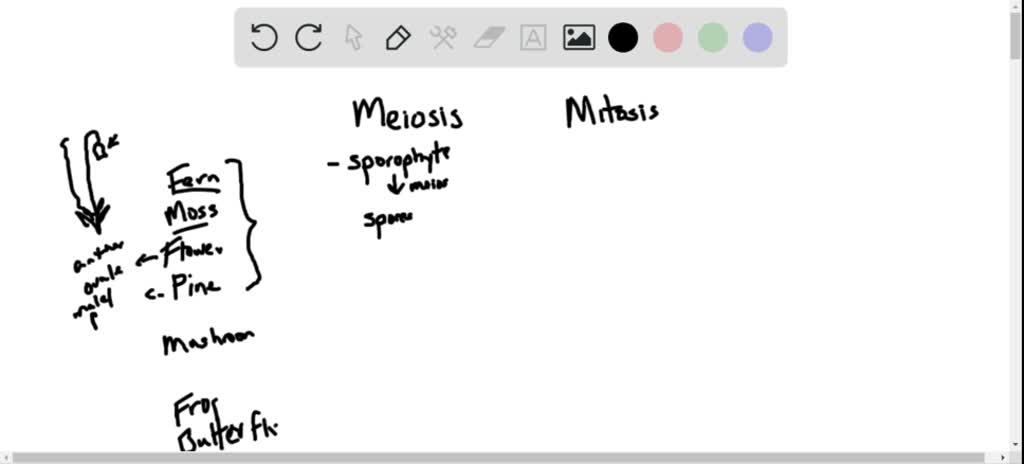 State where cells divide mitotically and where they divide meiotically ...
