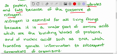 Elemental Makeup Of Proteins - Makeup Vidalondon
