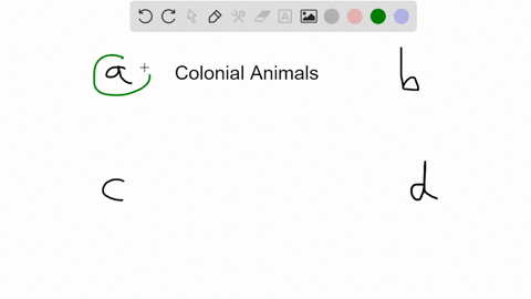 SOLVED:The only exclusively colonial animals are a. bryozoans. c ...
