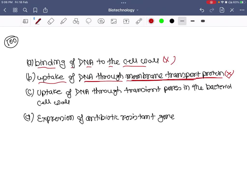 SOLVED:Significance of the 'heat shock' method in bacterial ...