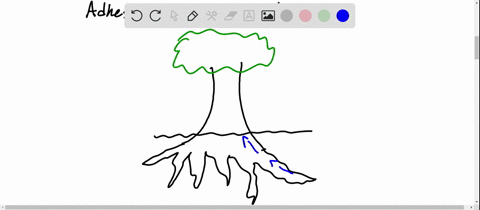 SOLVED:Draw the hydration shells that form around a potassium ion and a ...
