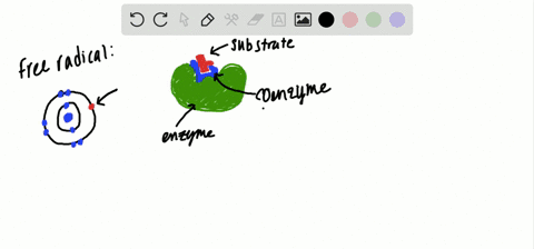 ⏩SOLVED:The transition state for enzyme-catalyzed pyrophosphate… | Numerade