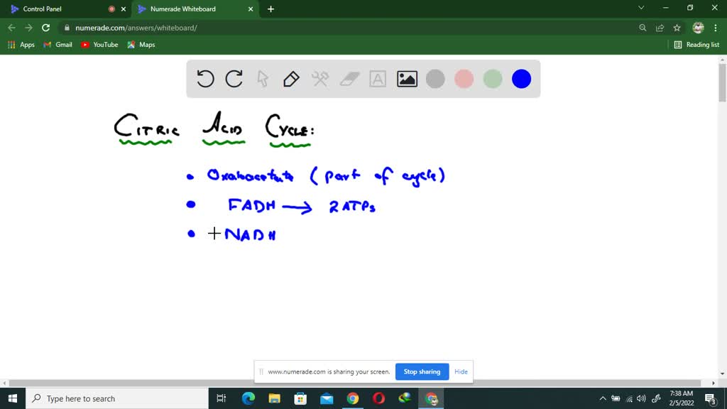 VIDEO solution:At the end of the citric acid cycle, but before the subsequent stages of cellular ...