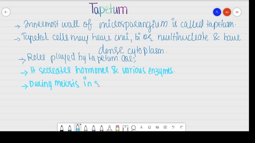 SOLVED:Explain the role of tapetum in the formation of pollen-grain wall.