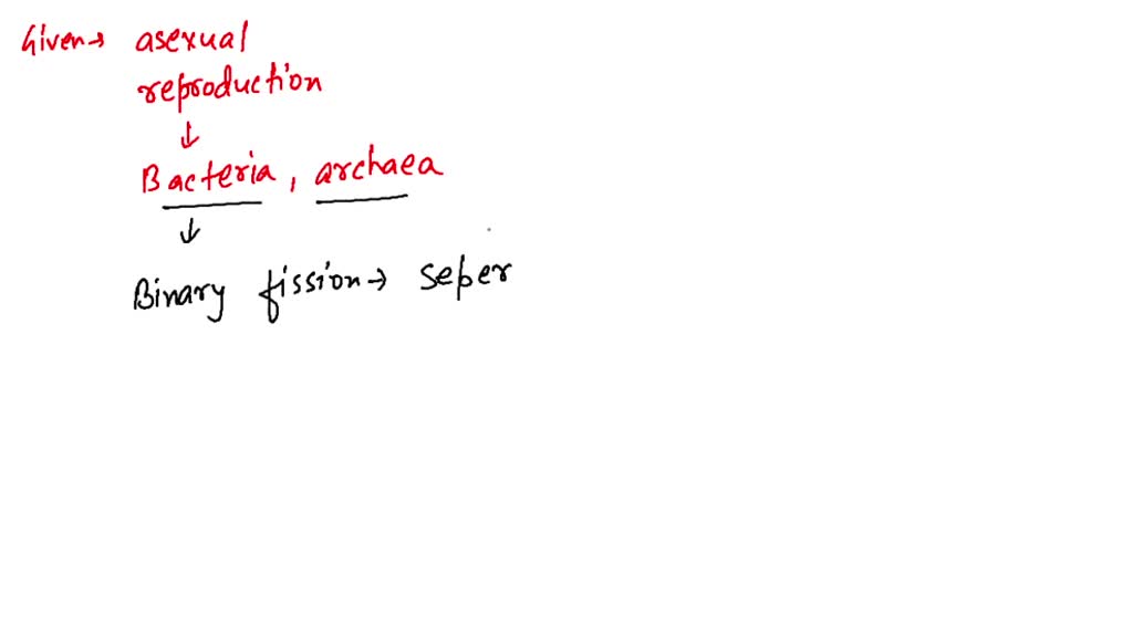 Bacteria and archaea reproduce by Bacteria and archaea reproduce by a ...